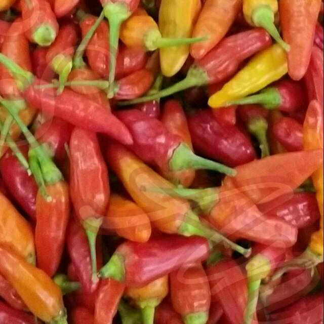 Jual Cabe rawit merah 500gr | Shopee Indonesia