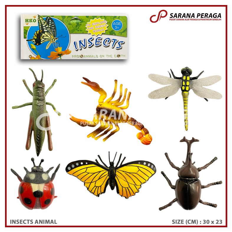 Jual SaranaPeraga - Insects Animal / Hewan Serangga Karet / Mainan ...