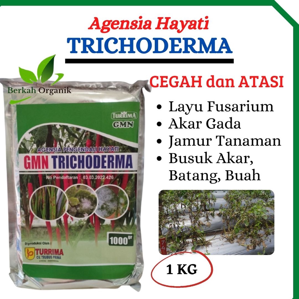 Jual Fungisida Tanaman Trichoderma / Tricoderma, Pupuk Organik Hayati Trichoderma SP | Shopee ...