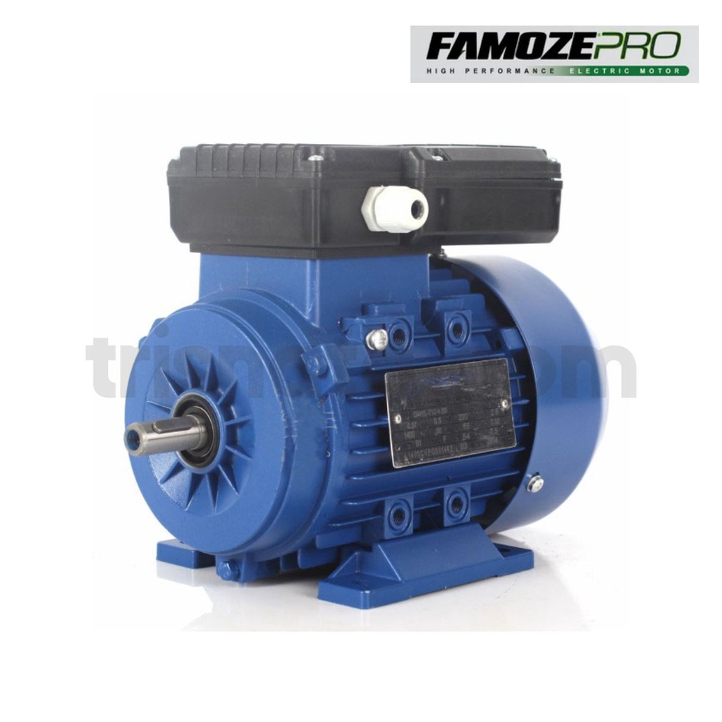Jual FAMOZE PRO DINAMO 1,5 HP 1500 RPM 1 PHASE ELEKTRIK MOTOR | Shopee Indonesia