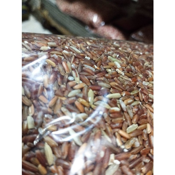 Jual BERAS MERAH PAKAN MERPATI/AYAM JAGO 1KG | Shopee Indonesia