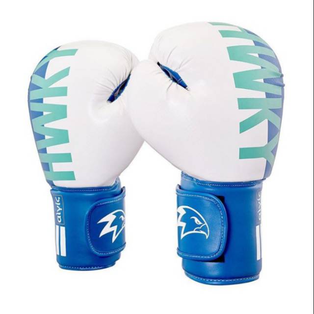 Jual Hawkeye Fightwear Boxing Glove Aegis | Shopee Indonesia