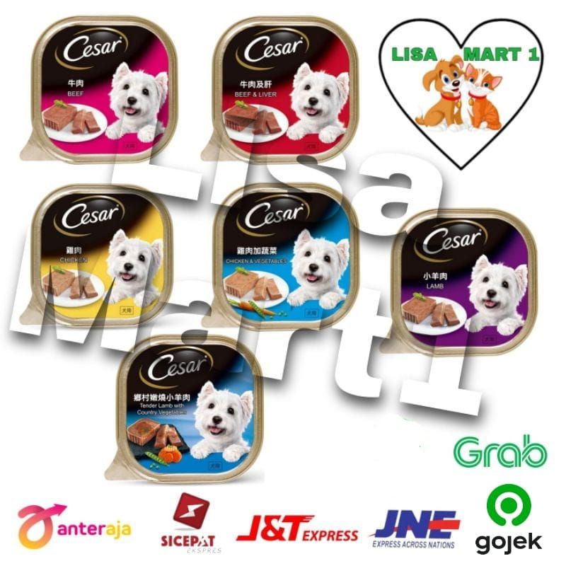 Jual Cesar Makanan Basah Anjing 100g | Shopee Indonesia