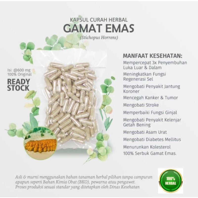 Jual Ekstrak Gamat Emas Teripang Emas Laut Curah 100 Kapsul | Shopee ...