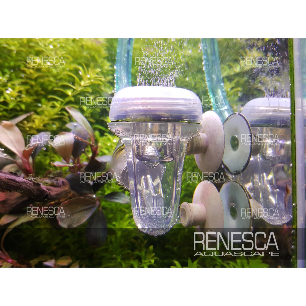 Jual Ista 3 in 1 Co2 Diffuser - Atomizer Tabung Karbondioksida ...