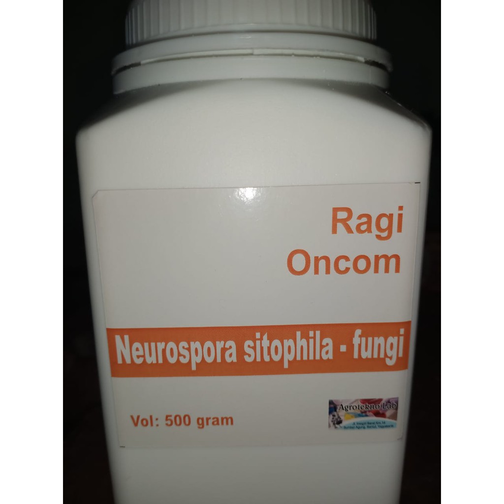 Jual Ragi Oncom Merah (Neurospora sitophila) 500 gram serbuk | Shopee ...