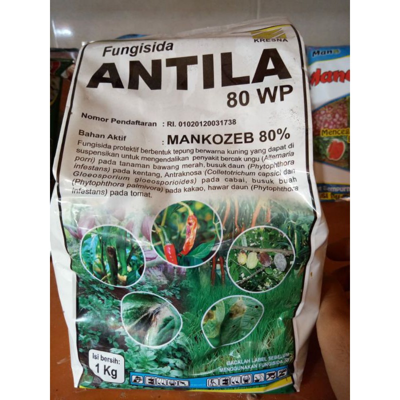 Jual FUNGISIDA ANTILA 80WP ANTI BUSUK BUAH DAN BUSUK DAUN | Shopee Indonesia