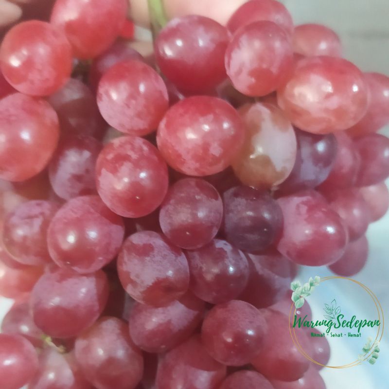 Jual Buah Anggur Crimson Manis Non Biji Anggur Seedless Import Buah ...