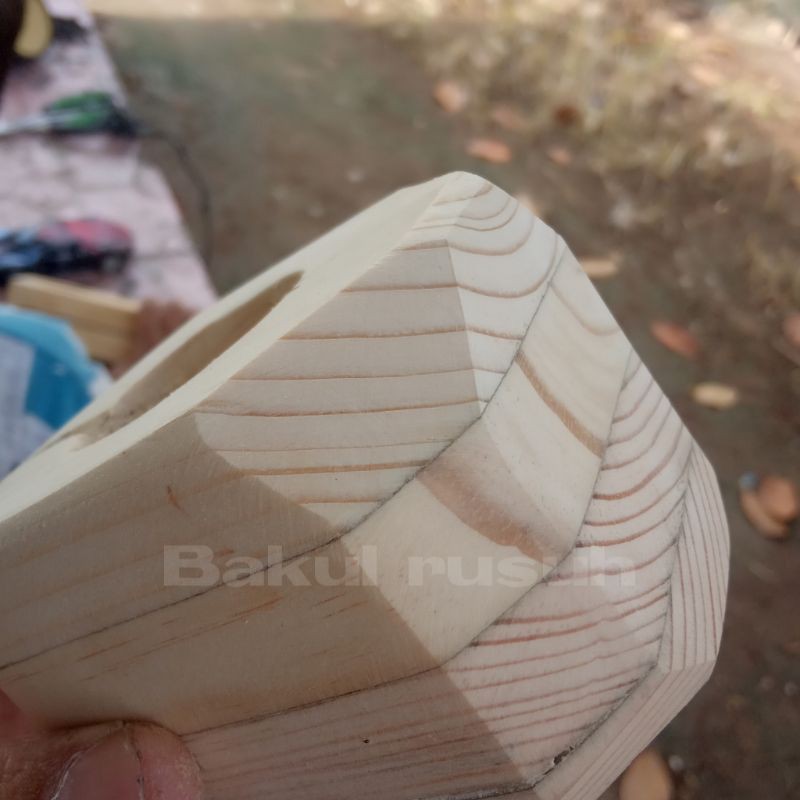 Jual pot kaktus sukulen kayu unik mini kayu jati belanda bagus | Shopee ...