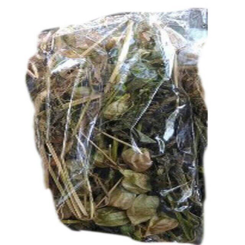Jual daun cecenet kering/ciplukan kering rempah tradisional 100gr ...