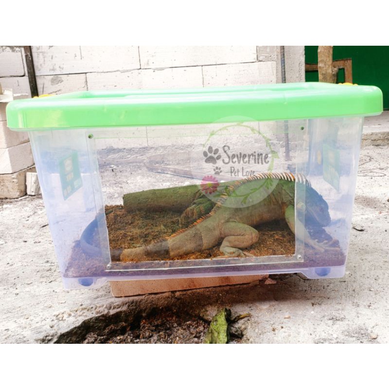 Jual Terrarium Iguana | kandang iguana | kontainer Container box modif ...