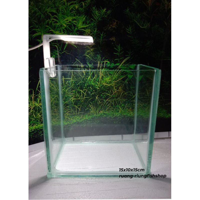 Jual soliter ikan cupang custom/akuarium kaca mini | Shopee Indonesia