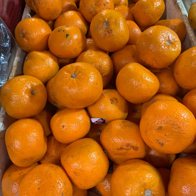 Jual Jeruk mandarin 1kg | Shopee Indonesia