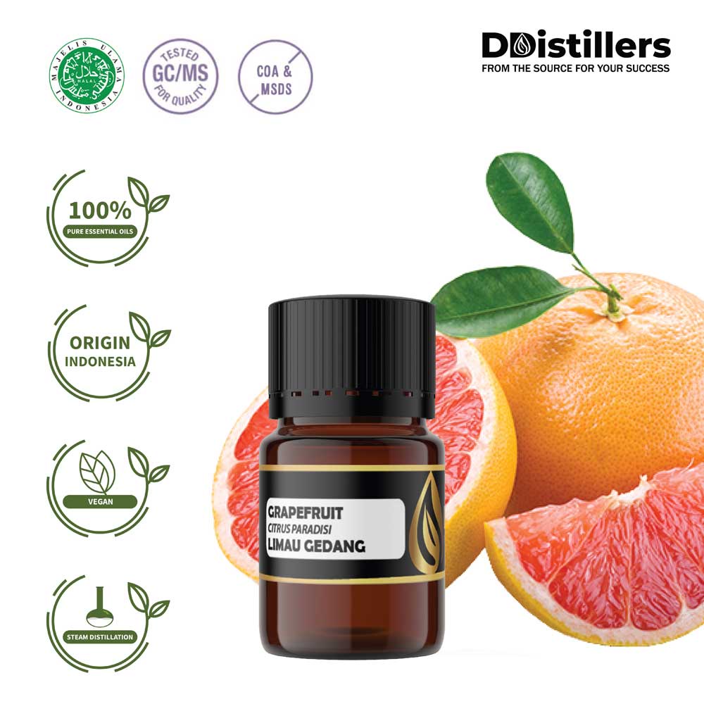 Jual Grapefruit / Limau Gedang Essential Oil Pure 100%, 2-10ML GS ...
