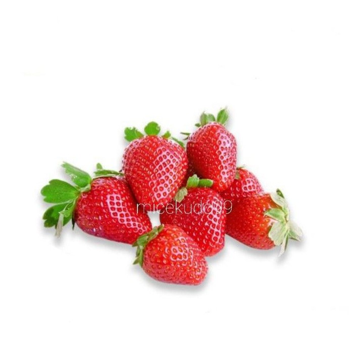 Jual STRAWBERRY BUAH SEGAR 1 KG PETIK POHON / STROBERI STRAWBERI FRESH ...