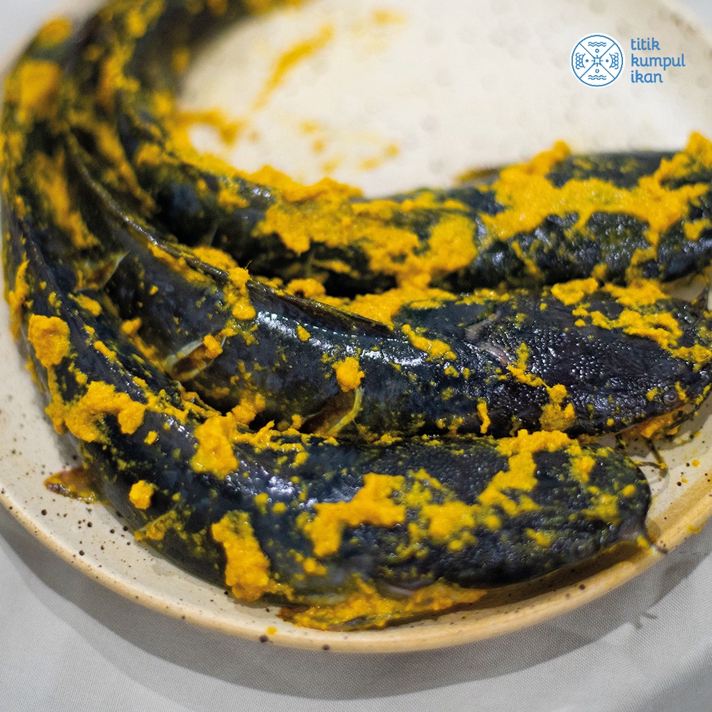 Jual Lele Super Bumbu Kuning Lele Bumbu Kuning 1kg - Sahabatdapur ...