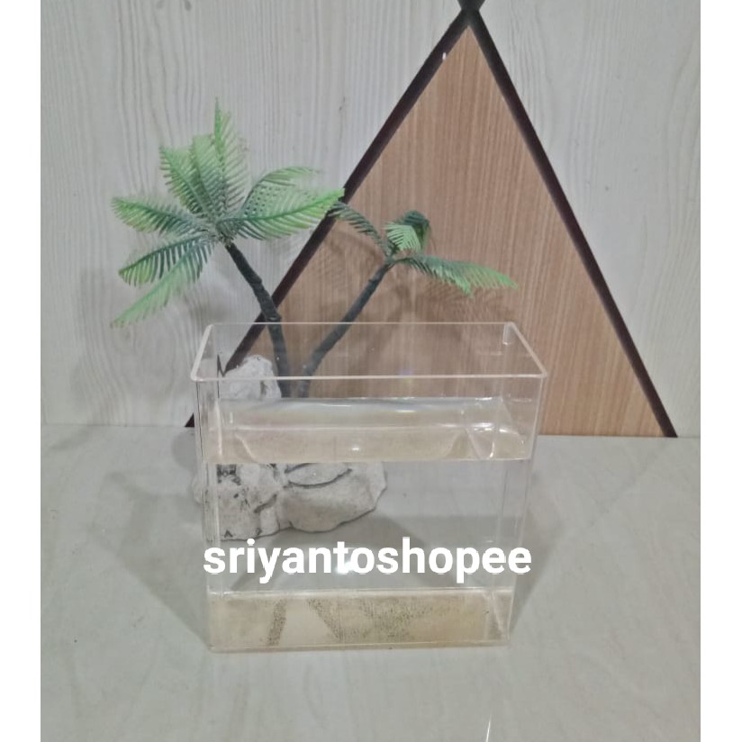 Jual Soliter Akrilik 12 x 6 x 12 Akurium Cupang Akrilik | Shopee Indonesia