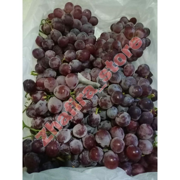 Jual ! KOSONG ! Buah Anggur Merah Import Segar atau Fresh 500gr & 1KG ...