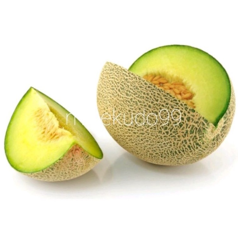 Jual MELON SKY ROCKET 1 PCS SEGAR / HONEYDEW HONEY DEW FRUITS BUAH BALI ...