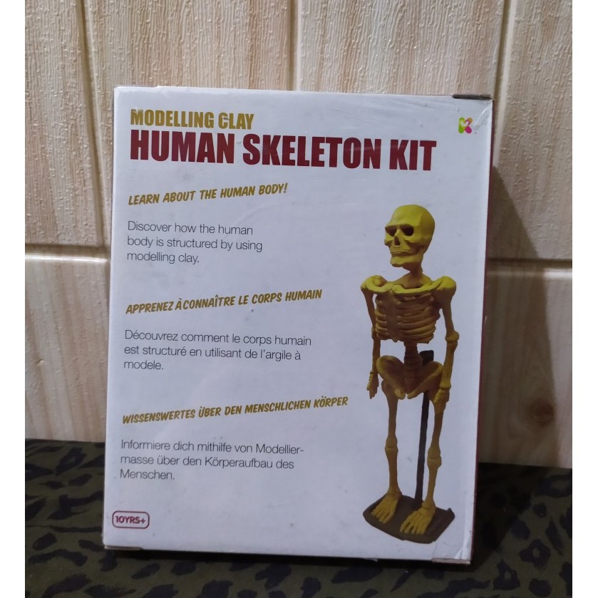 Jual Human Skeleton Kit : Buku Aktivitas Anak Impor | Shopee Indonesia