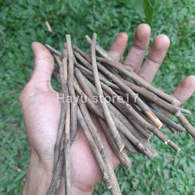 Jual Ranting kayu kering untuk membuat kerajinan foto dari bahan alam ...