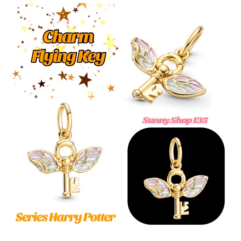 Jual Charm Liontin bentuk Flying Key Series Harry Potter | Shopee Indonesia