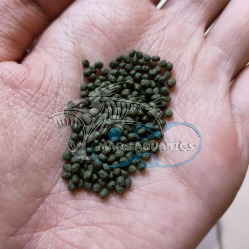 Jual MAKANAN IKAN PELET IKAN AA HIJAU 1mm | Shopee Indonesia