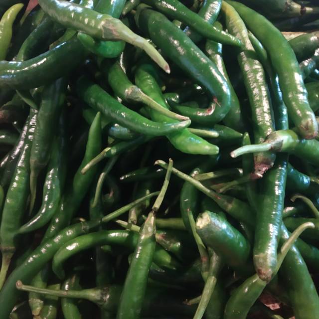 Jual Cabe ijo besar | Shopee Indonesia