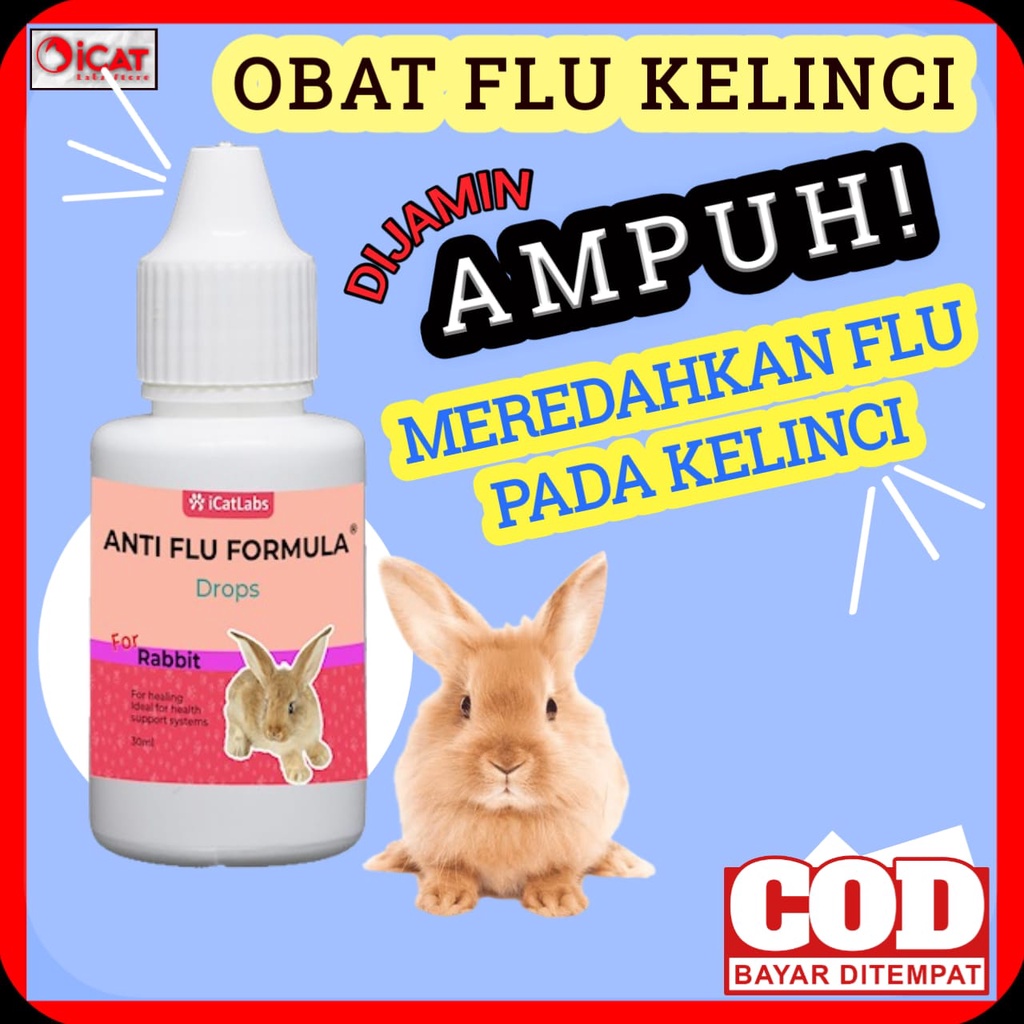 Jual ANTI FLU FORMULA RABBIT OBAT FLU KELINCI JAMU FLU KELINCI PAKAN ...