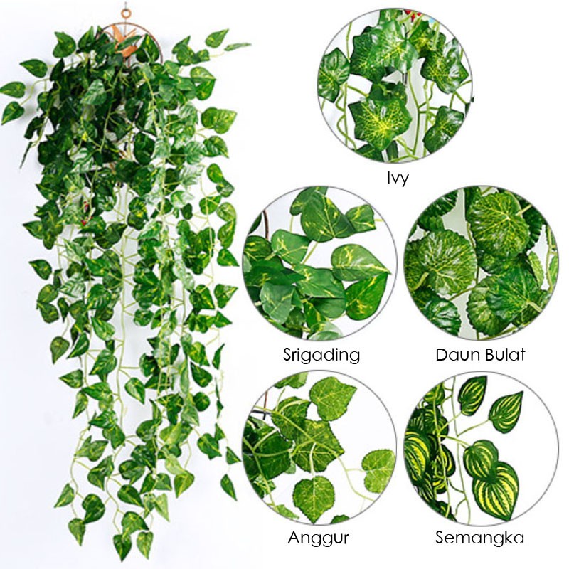 Jual DAUN RAMBAT JUNTAI 90X9 BUNGA PLASTIK PCS HIAS ARTIFISIAL DEKORASI ...