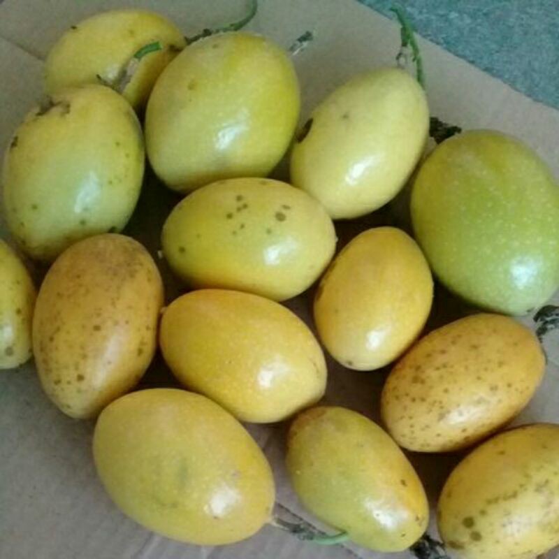 Jual Markisa kuning / saprola/ konyal 1kg | Shopee Indonesia