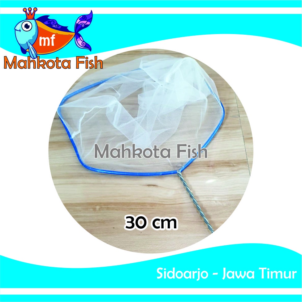 Jual Serok Ikan KOTAK 30 cm - Jaring Ikan - Seser Ikan 30cm | Shopee ...