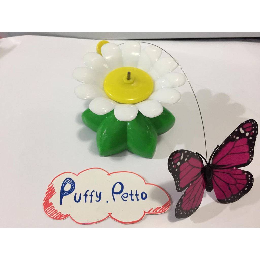 Jual MAINAN MOTORIK KUCING KUPU2 PUTAR CA120 | Shopee Indonesia