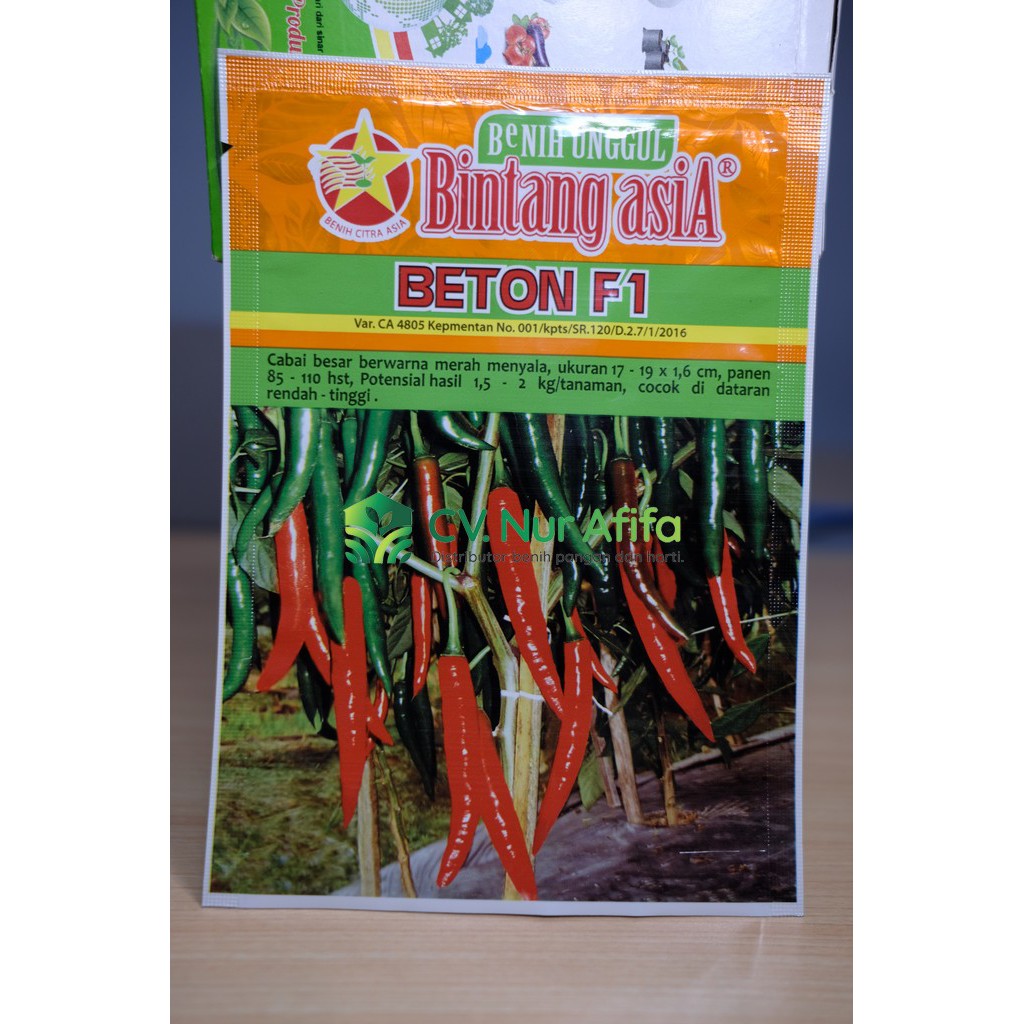 Jual Benih Cabai Cabe Lombok Besar BETON F1 10 Gr Bintang Asia | Shopee ...
