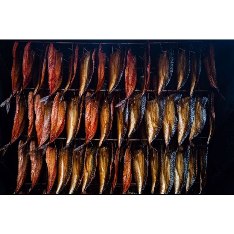 Jual IKAN LAUT ASAP SUPER KHAS PACITAN 1KG. | Shopee Indonesia