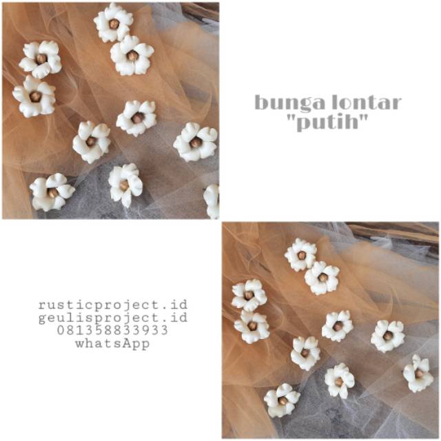 Jual Bunga lontar warna putih | Shopee Indonesia