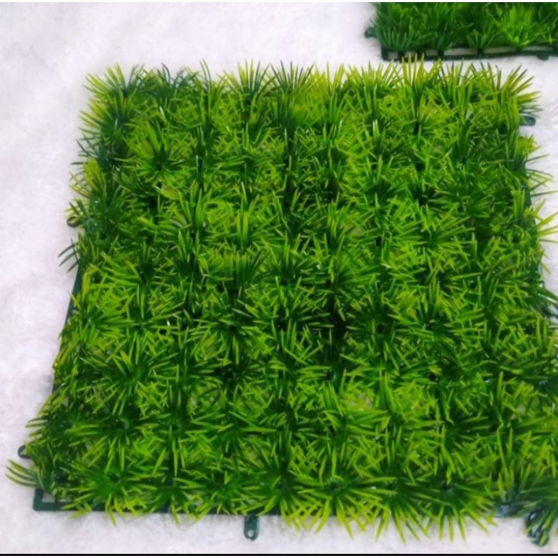 Jual Rumput plastik jarum hiasan aquarium | Shopee Indonesia