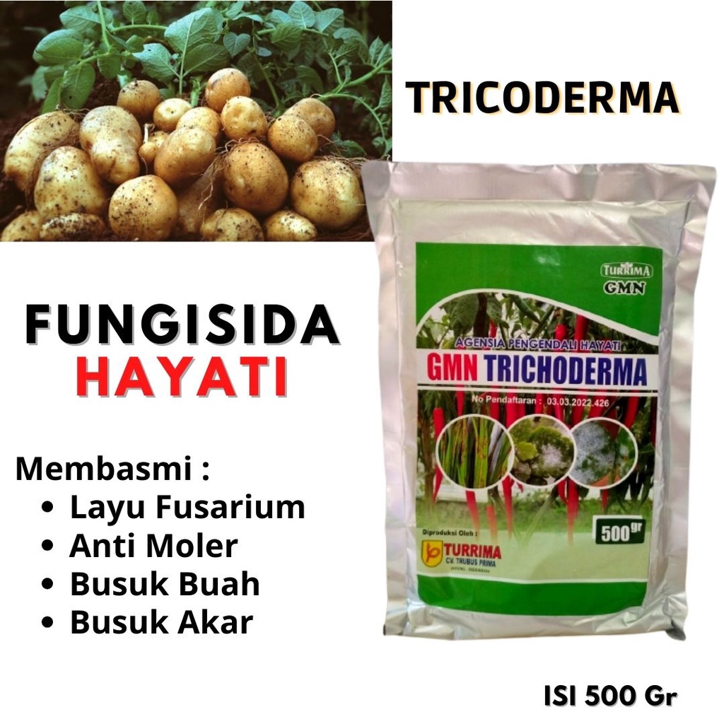 Jual Pupuk Fungisida Hayati Tricoderma 500 Gr Cegah Layu Fusarium Trichoderma | Shopee Indonesia