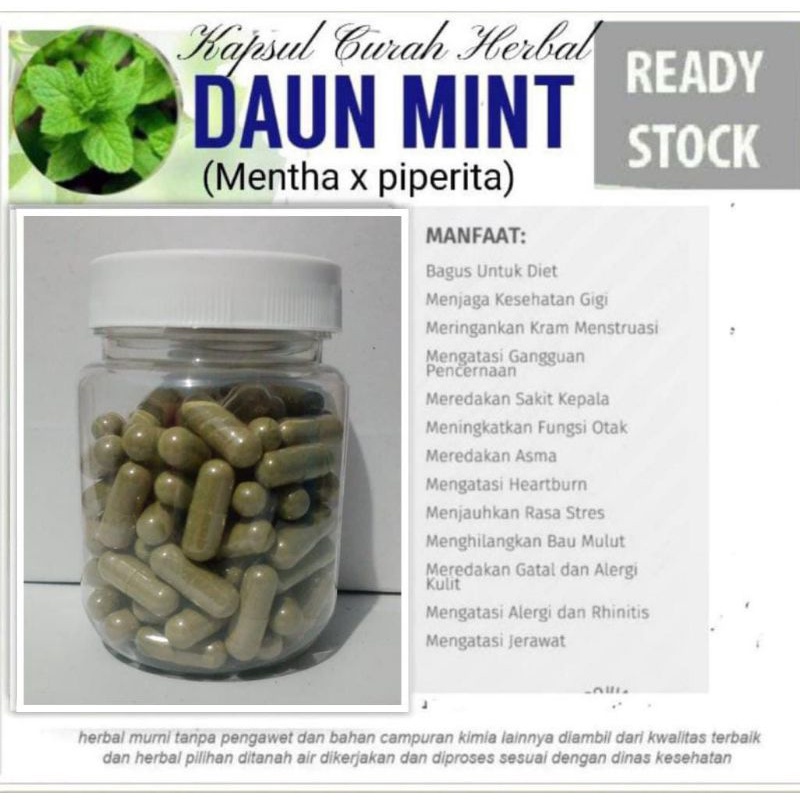 Jual Daun Mint 100 Kapsul Curah Herbal diet Jerawat Fungsi Otak Stres ...