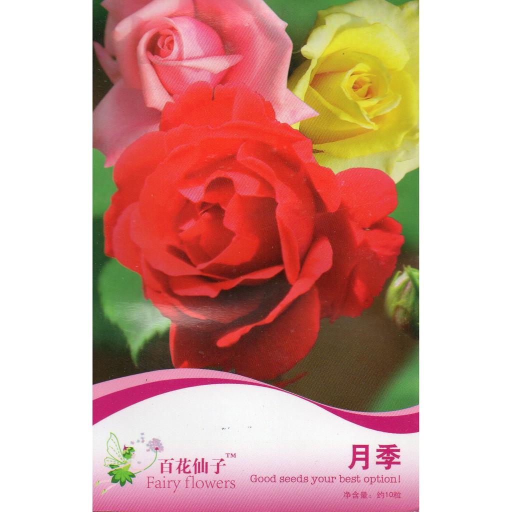 Jual (19 Biji) Bunga Mawar Mixed Campur (B0208) | Shopee Indonesia