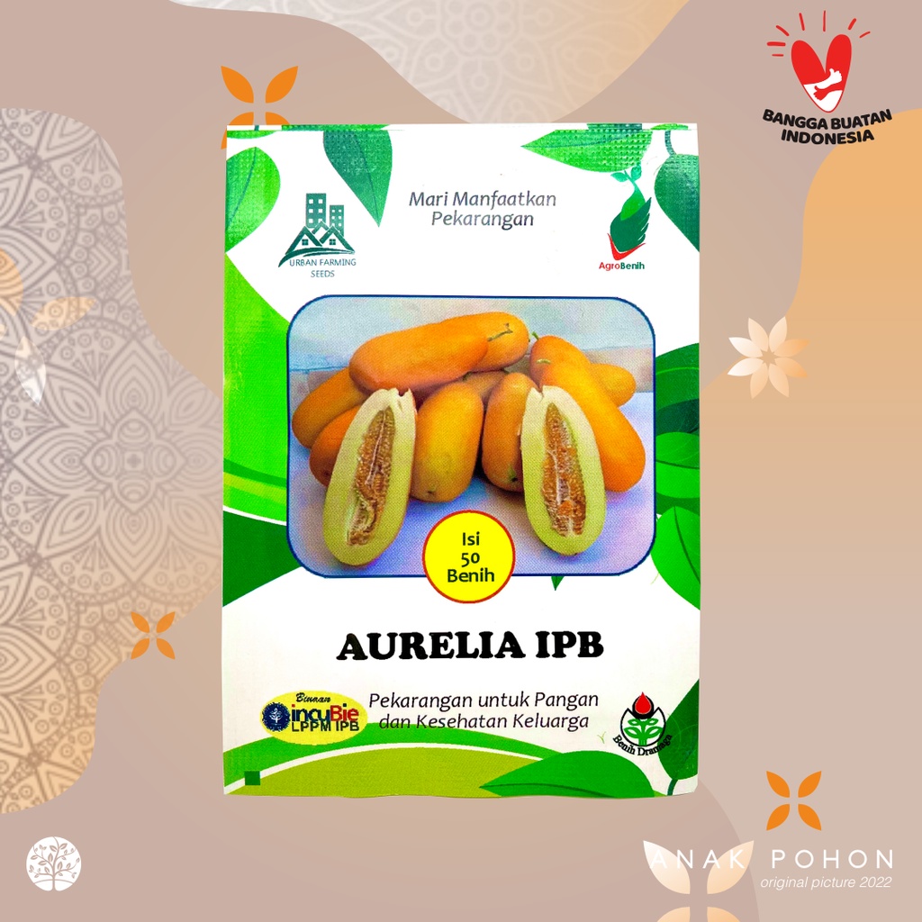 Jual (1 PACK) Benih Timun Suri Emas Aurelia - IPB Retail Pack - 50 ...
