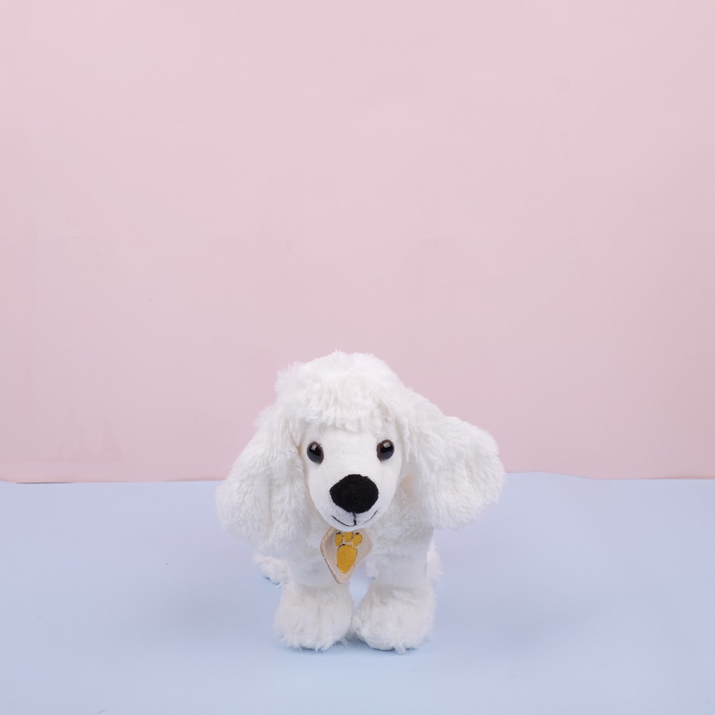 Jual BONEKA ANJING PUDEL / POODLE - Ukuran S (Cocok Untuk Hadiah Mainan ...