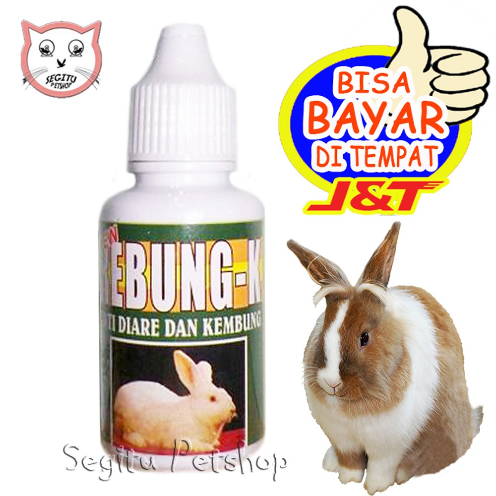 Jual OBAT MENCRET KELINCI DIARE KEMBUNG REBUNG K | Shopee Indonesia Jual OBAT MENCRET KELINCI DIARE KEMBUNG REBUNG K | Shopee Indonesia