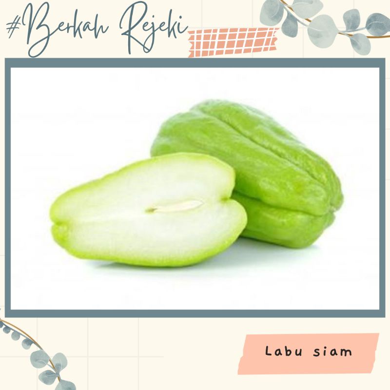 Jual LABU SIAM/LABU ACAR/MANISA 1KG SAYURAN SEGAR | Shopee Indonesia