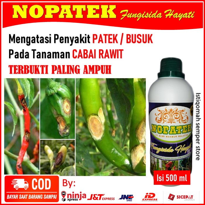 Jual Obat Patek Cabe NOPATEK - NOPATEK Fungisida Hayati Obat Patek Cabe - Obat Patek Cabe Rawit ...