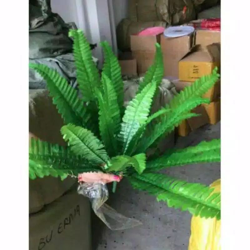 Jual Daun Hias Artificial Pakis Boston Besar Tangkai x18 Tanaman ...