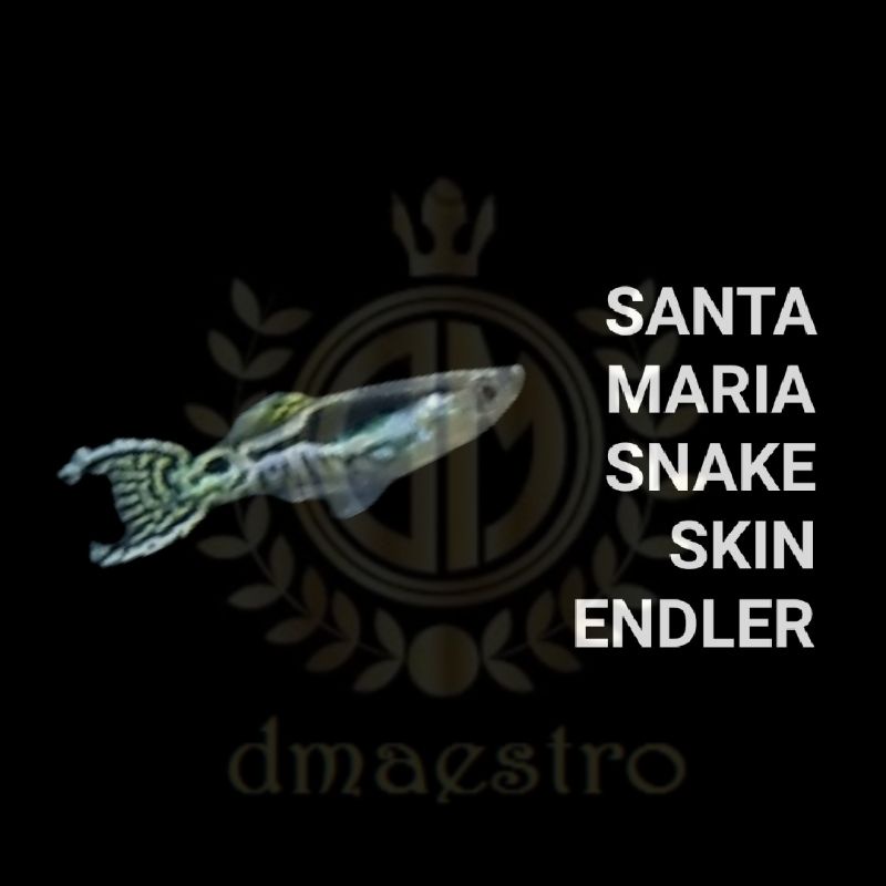 Jual Santa Maria Snake Skin Endler (RARE) | Shopee Indonesia