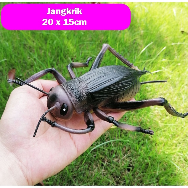 Jual Mainan Edukasi Anak Hewan Binatang Serangga Figurin Insect Figure ...