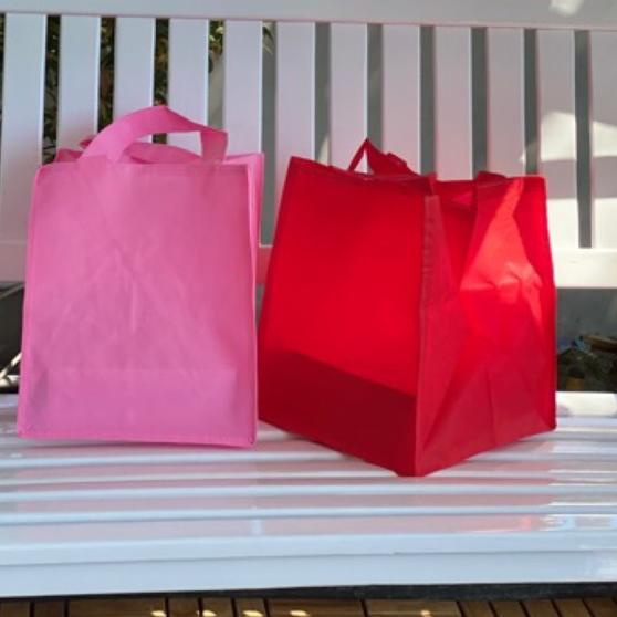 Jual HARGA LUSIN ISI 12 PCS- TAS BOX NASI POLOS SIZE 22x22x30 PXLXT | Shopee Indonesia