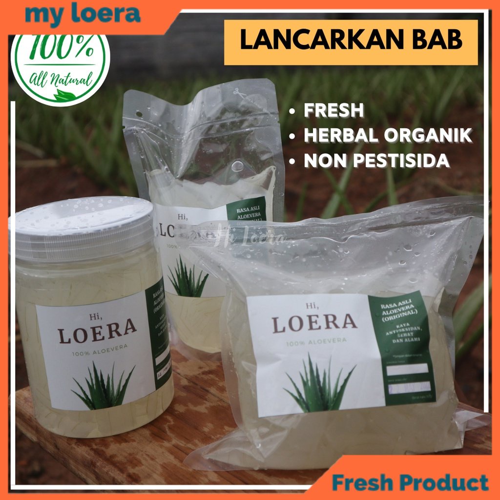 Jual myloera Lidah Buaya Aloevera Aloe Vera Kupas Obat Herbal Asam ...